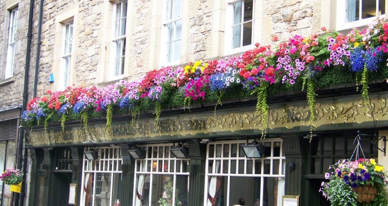 Hanging Baskets for Pubs & Restaurants - Holland House Garden Centre ...