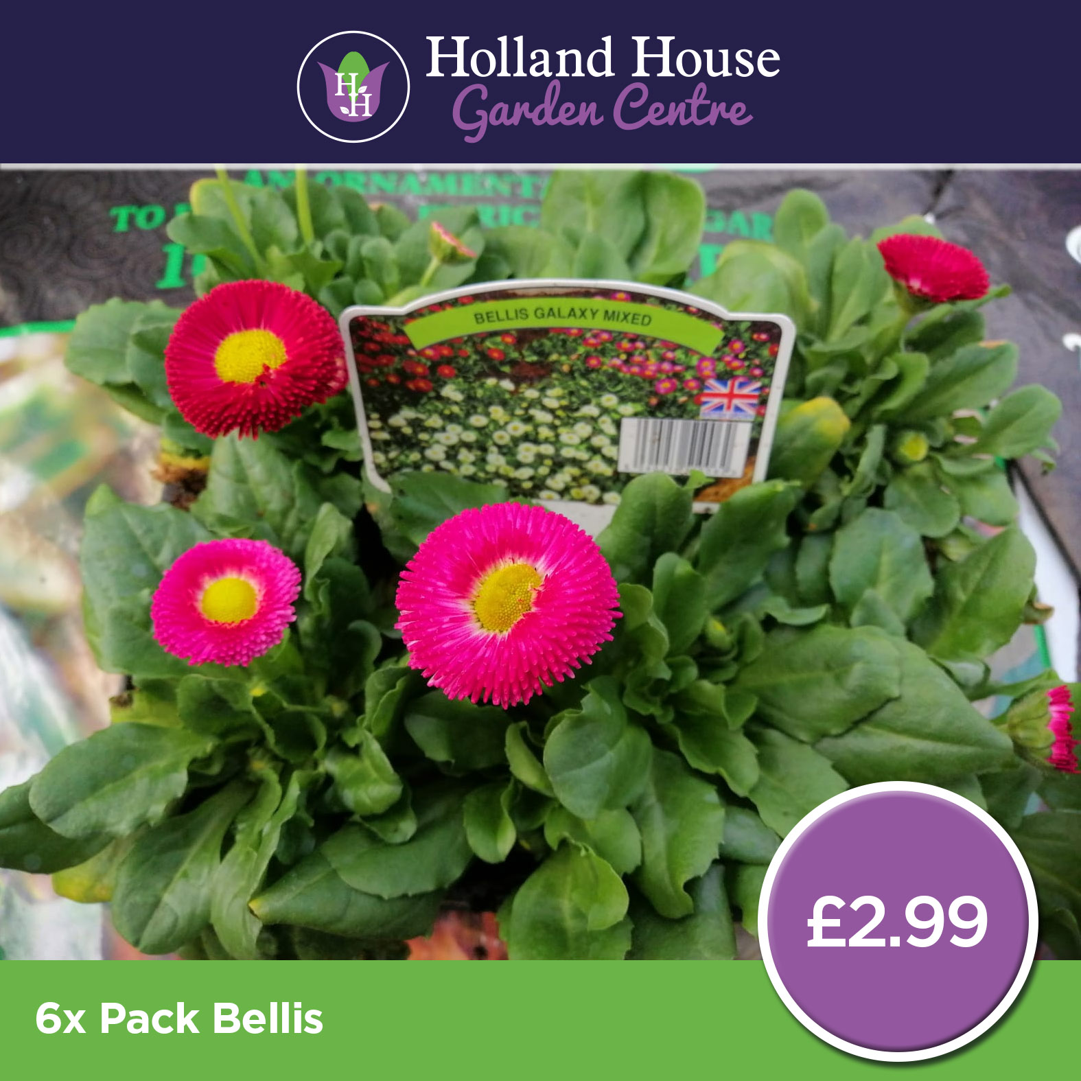 Products - Holland House Garden Centre Preston