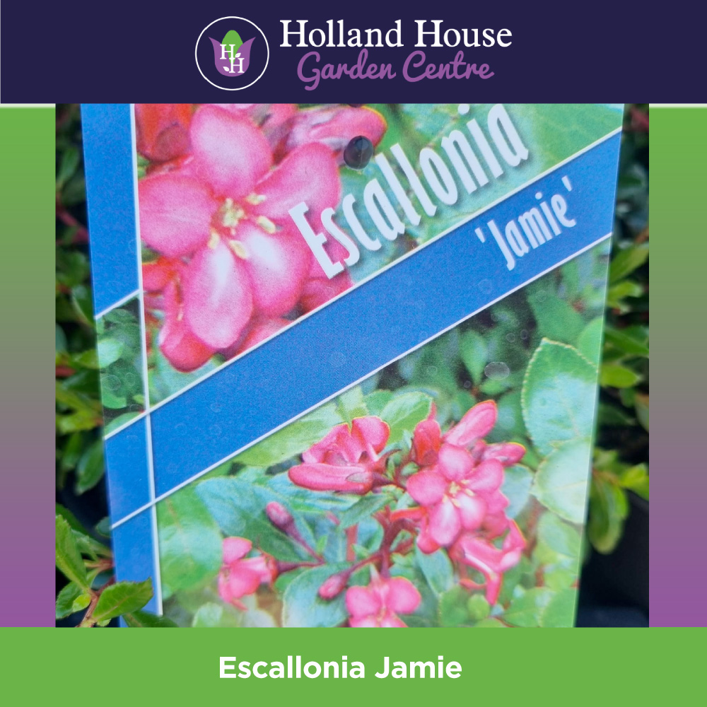 Products - Holland House Garden Centre Preston