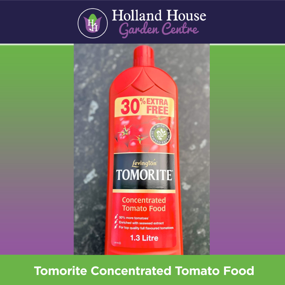 Tomorite Concentrated Tomato Food - Holland House Garden Centre Preston