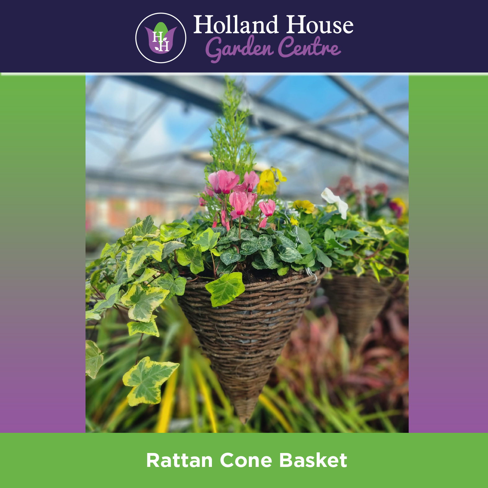 Rattan Cone Basket Holland House Garden Centre Preston