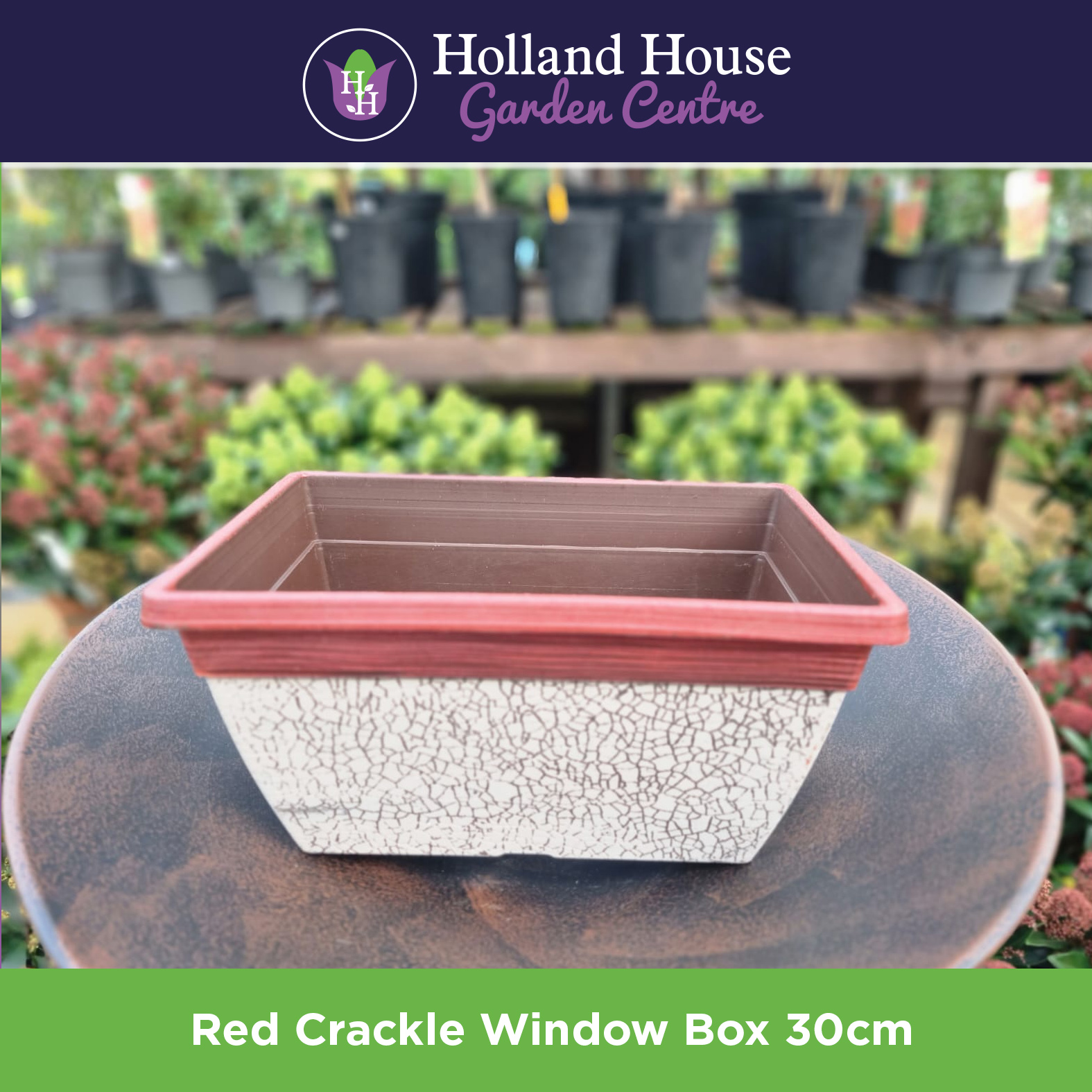 Red Crackle Window Box 30cm - Holland House Garden Centre Preston