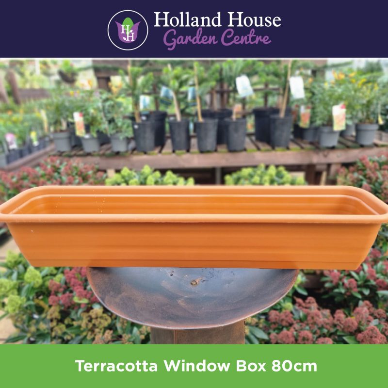 Terracotta Window Box 80cm - Holland House Garden Centre Preston