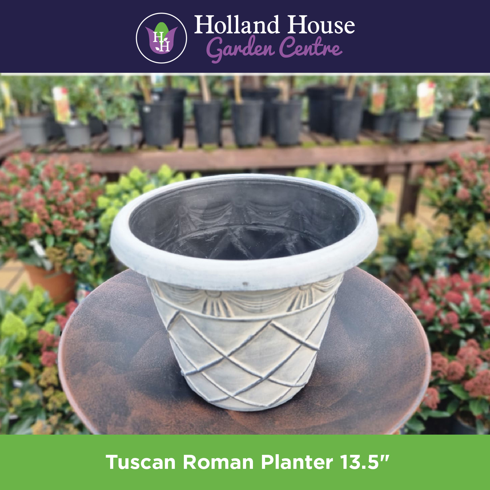Tuscan Roman Planter 13.5 Inch - Holland House Garden Centre Preston