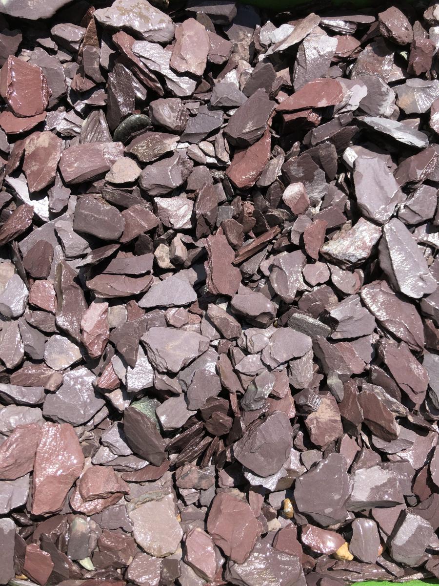 Plum-Slate-20mm x 3 Multi Buy - Holland House Garden Centre Preston