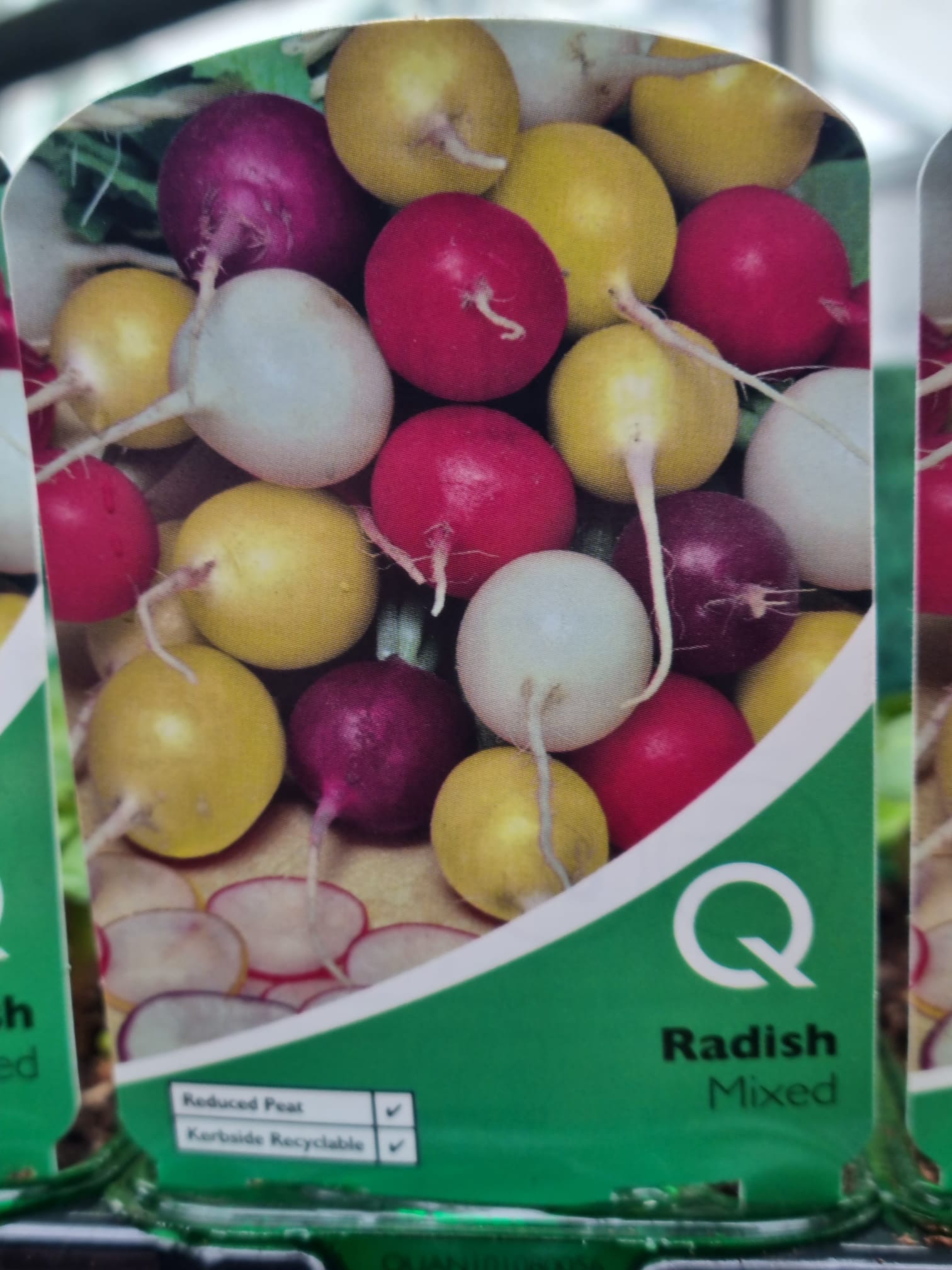 Radish-Mixed-Multi-Strip-Pack - Holland House Garden Centre Preston