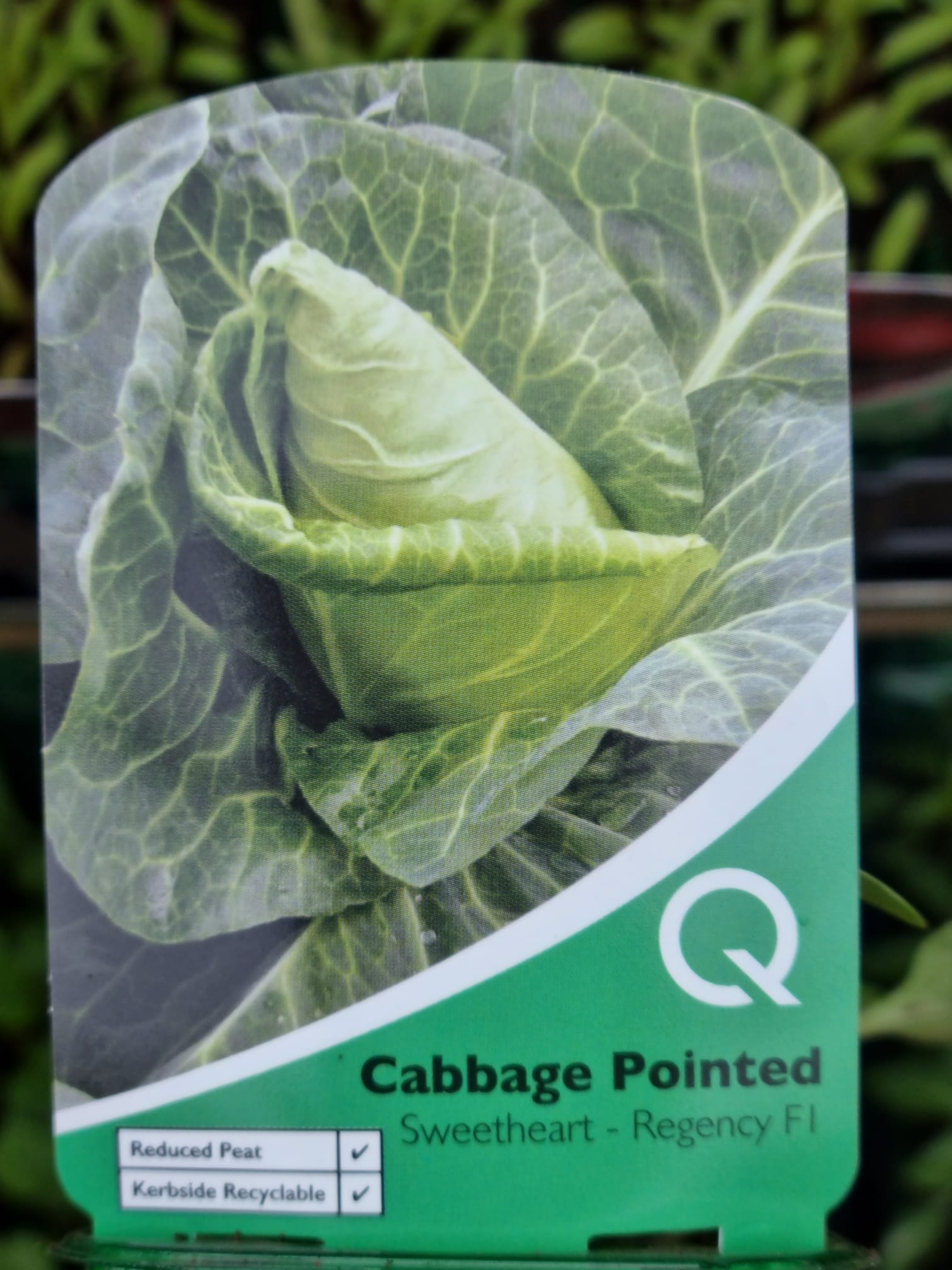 Cabbage Pointed, Sweetheart, Strip Multi Pack - Holland House Garden ...