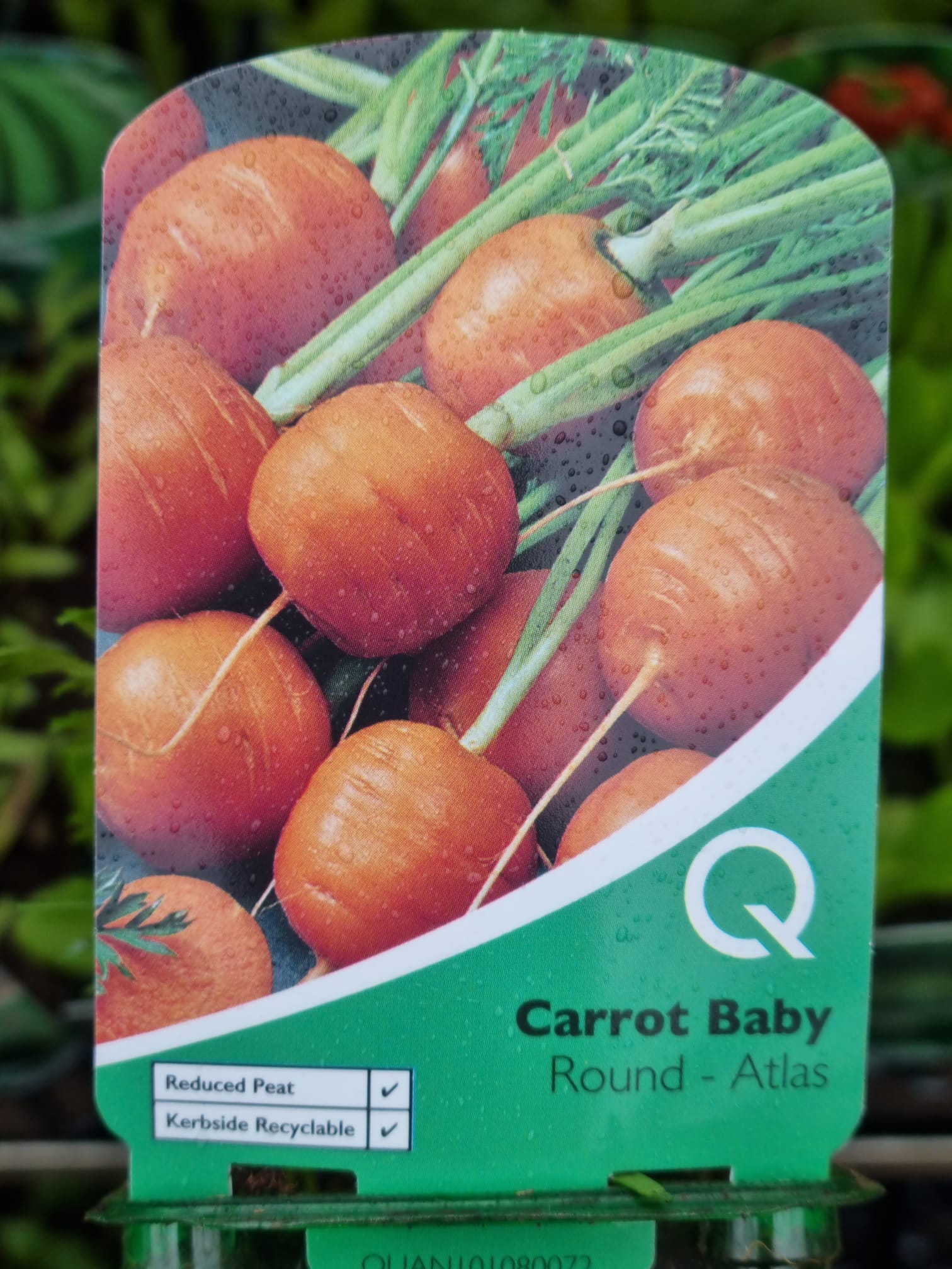 Baby Carrot, Round Atlas, Strip Multi Pack - Holland House Garden ...