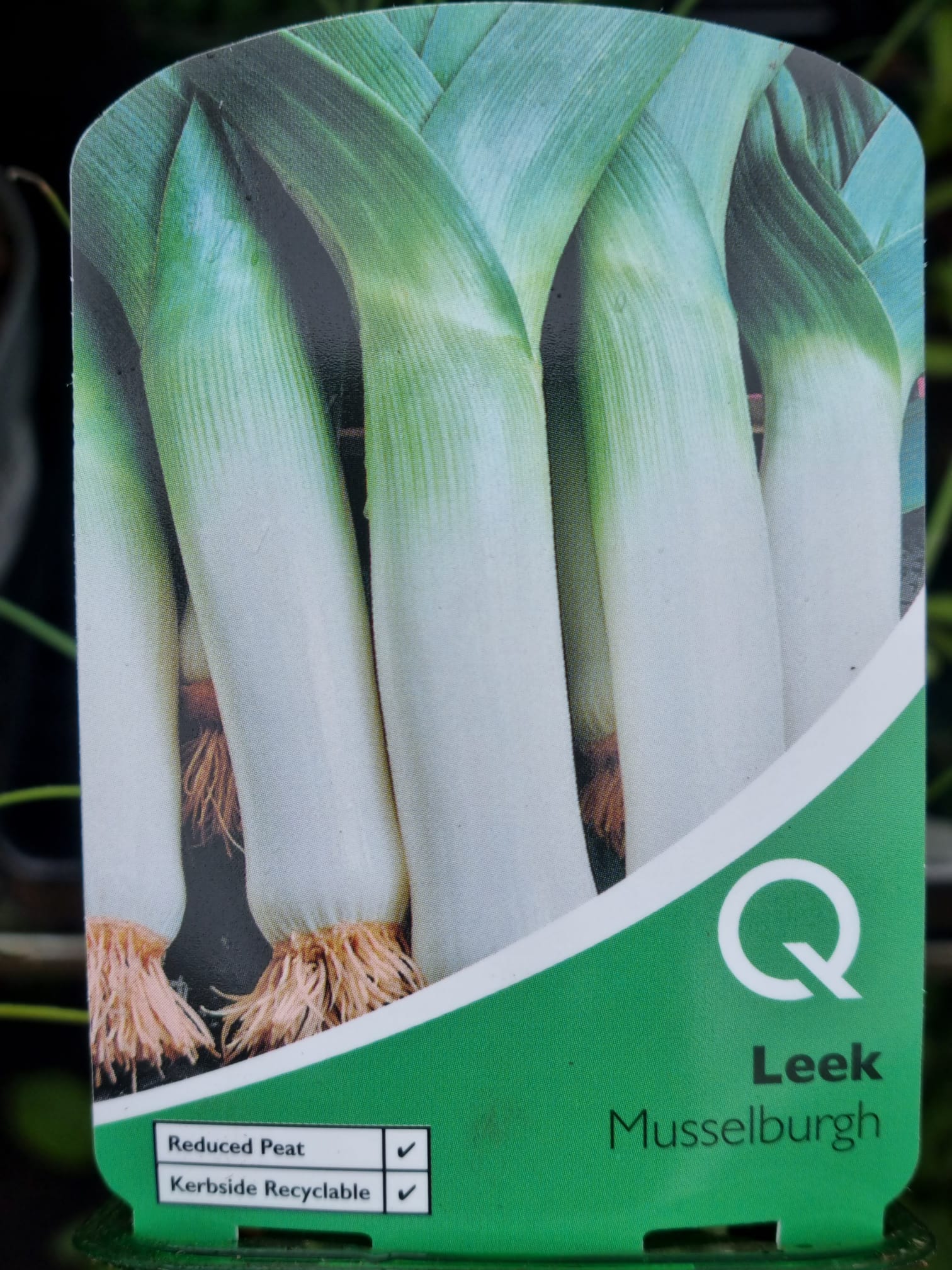 Leek, Musselburugh, Strip Multi Pack - Holland House Garden Centre Preston