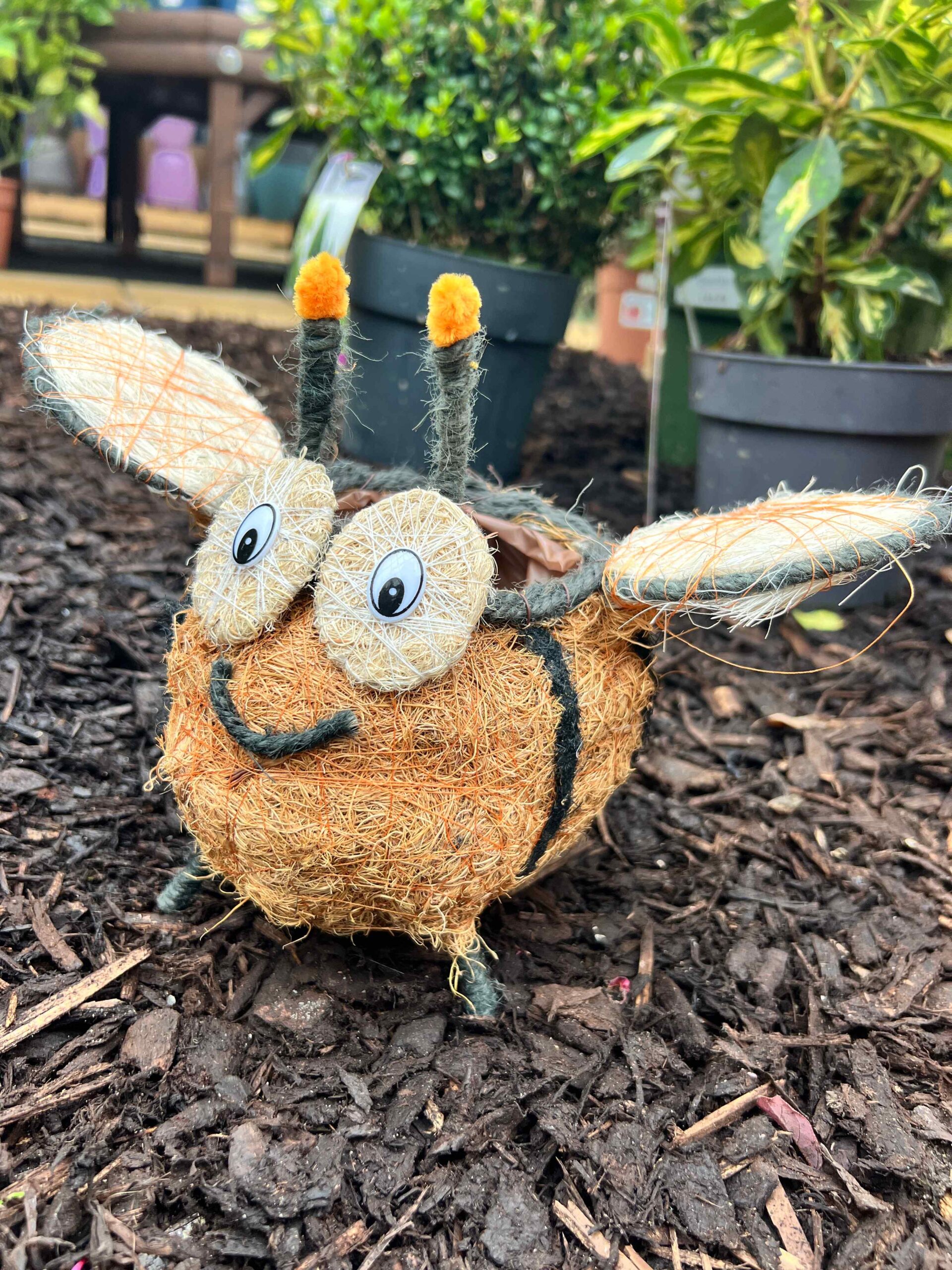 Bee Planter - Holland House Garden Centre Preston
